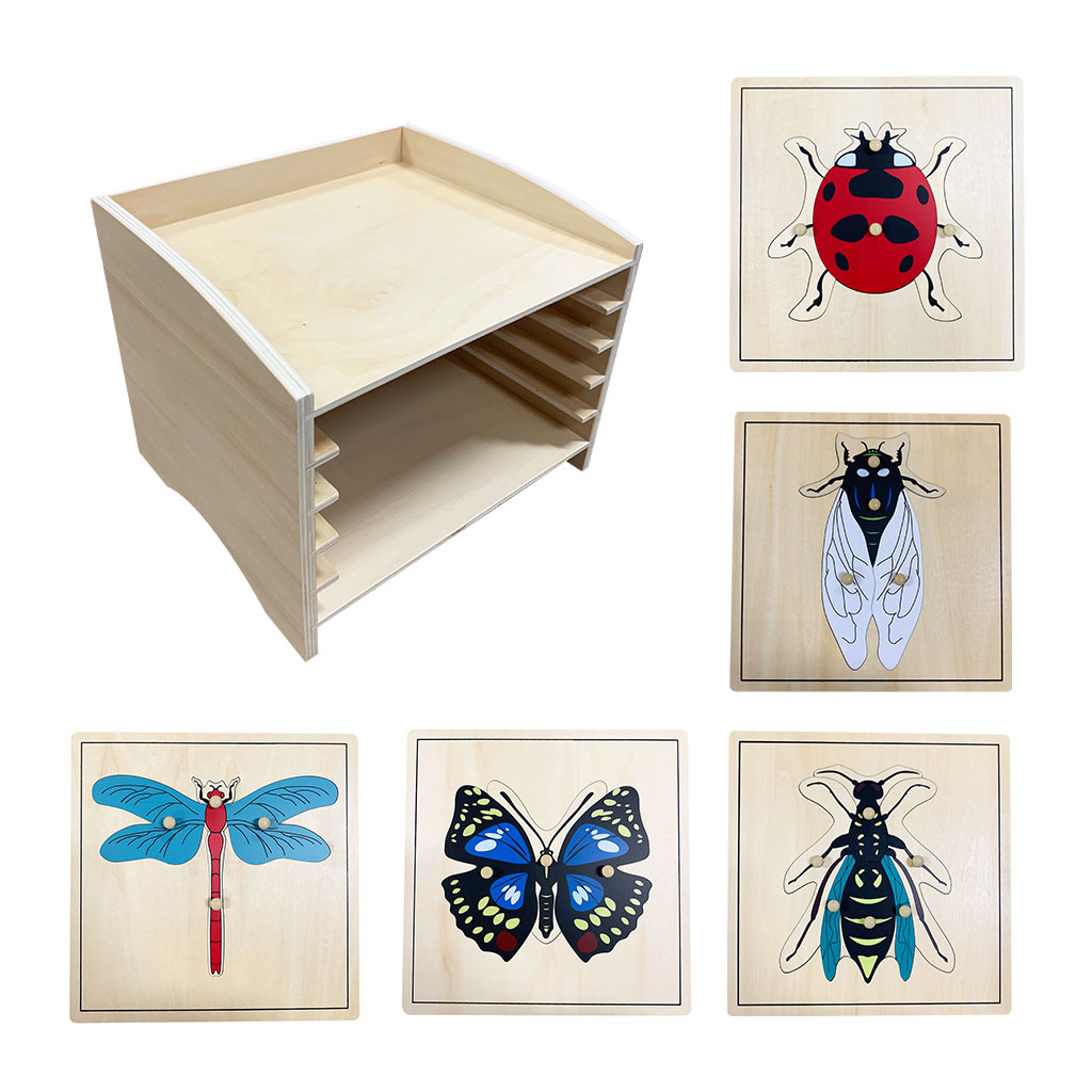 Insect Cabinet with 5 Puzzles